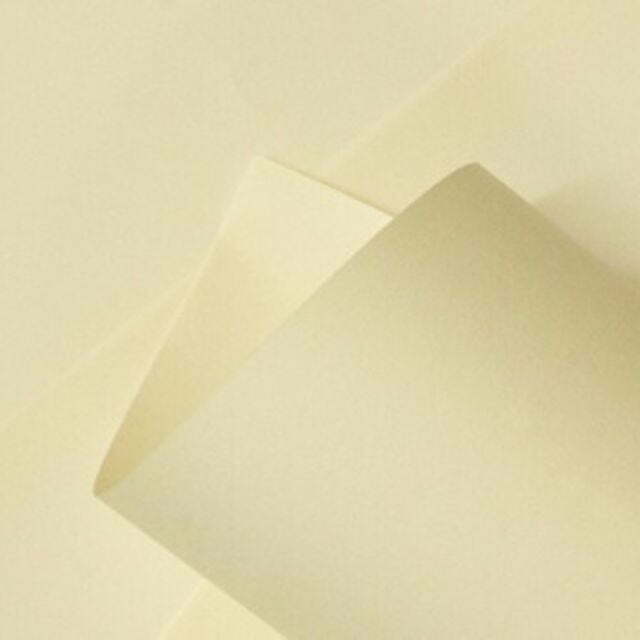 Papel Pólen Bold - Diplomata Papéis